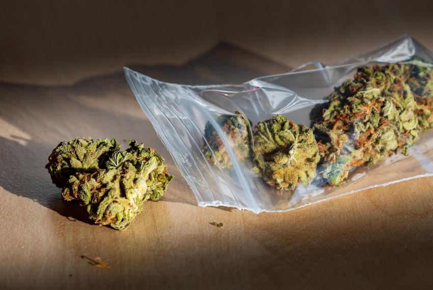 Comprehending medical cannabis entry in the UK